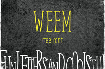 Andrea Script Free Font | Fonts | Designershare